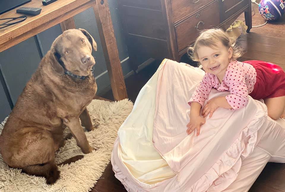 Personal Articles Policies - Bailey Family Insurance